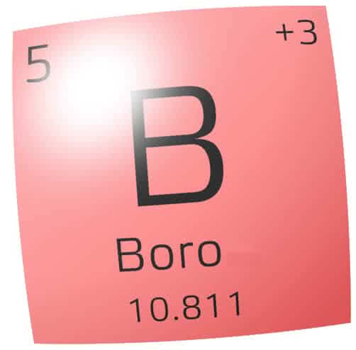 Boro -> Utilidades, Benefícios, Possui contraindicação?